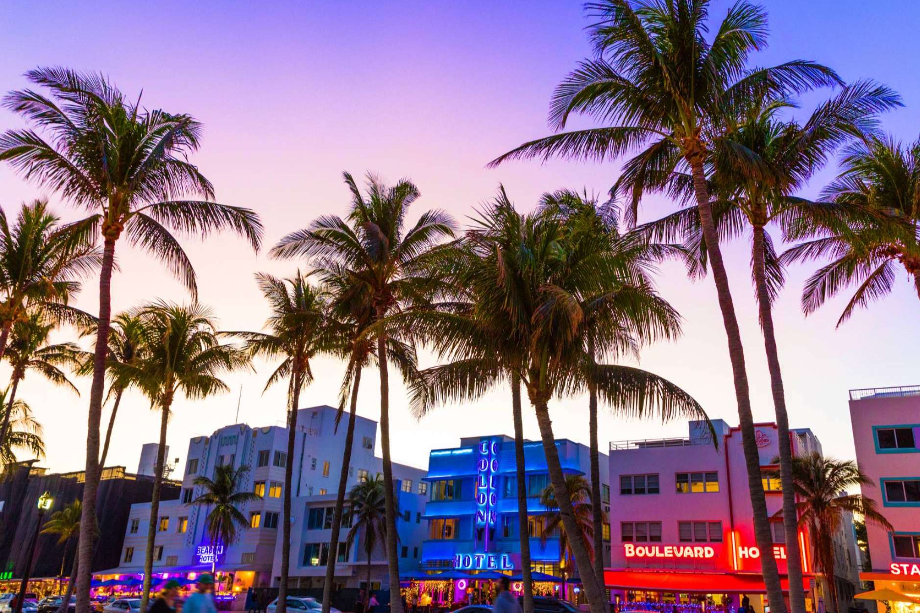 La experiencia VIP en las discotecas más exclusivas de Miami este ...